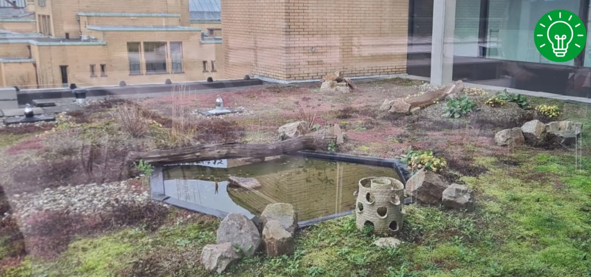 Green Key | Museon-Omniversum vergroent gebouw met groendak