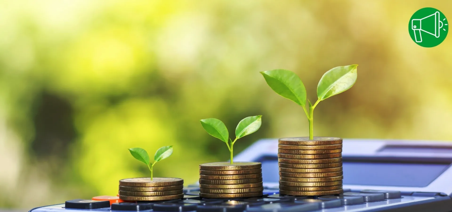 Green Key | De milieulijst, MIA en Vamil in 2024: wat moet ik weten?