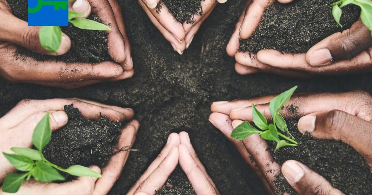 Green Key | Onze partners